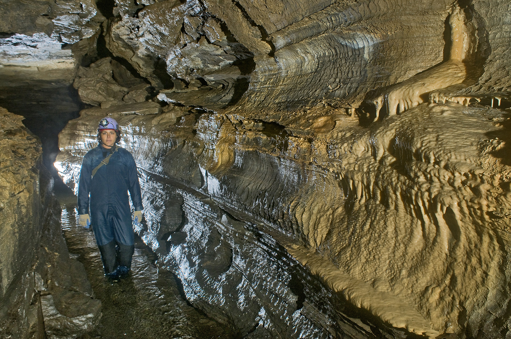 McFails Cave Nature Preserve - National Speleological Society