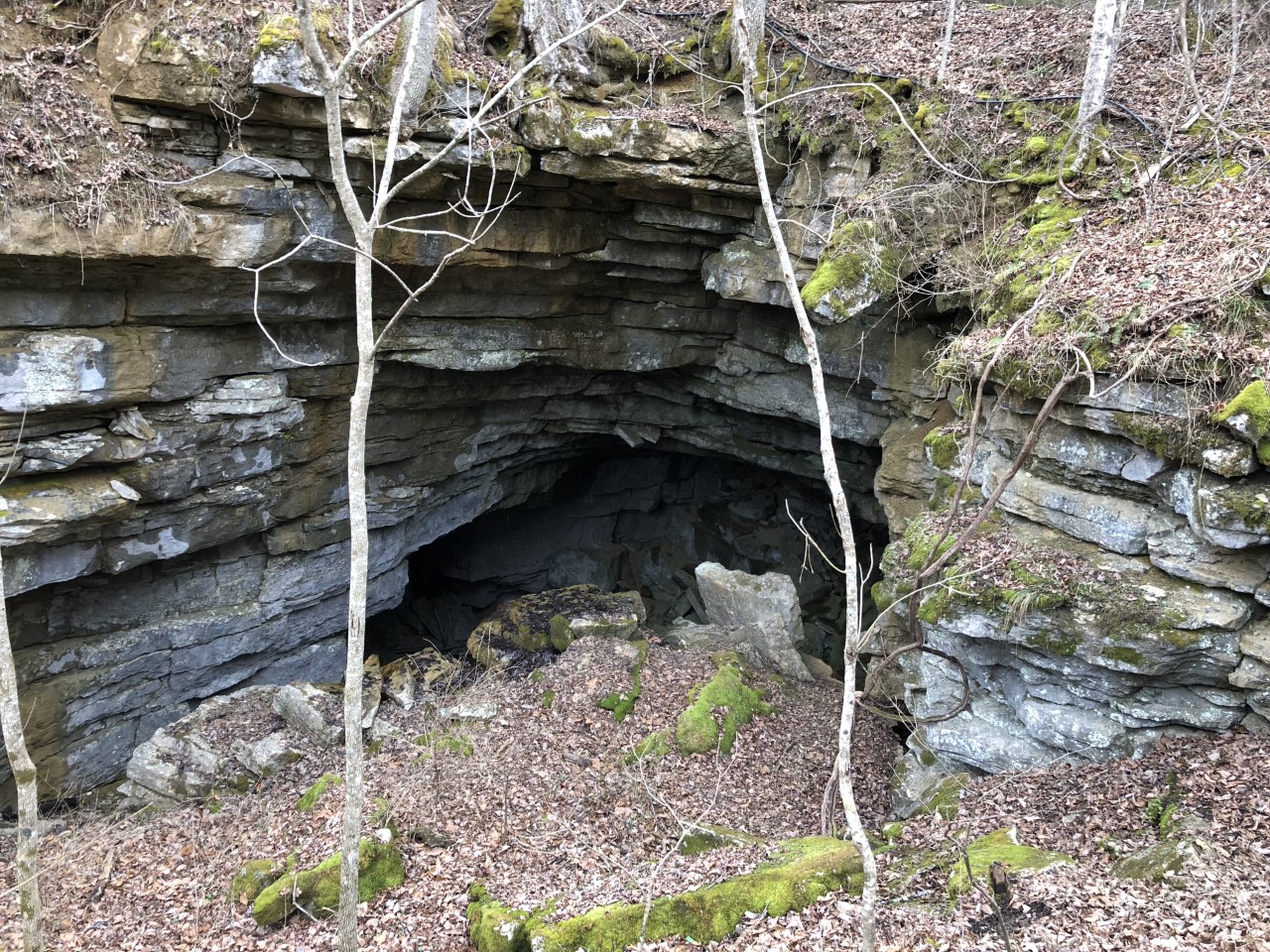Wells Cave Nature Preserve - National Speleological Society