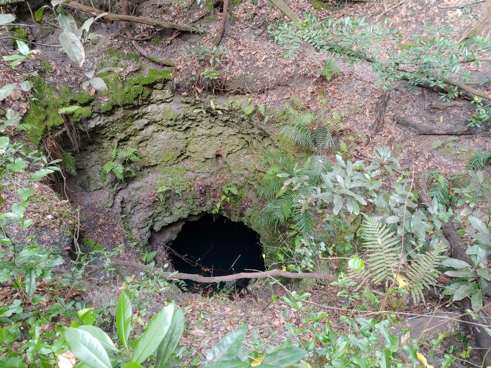 Preserves - National Speleological Society