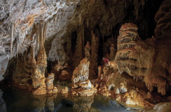 Cave Conservancy Winter Round Table: 7PM CENTRAL - National ...