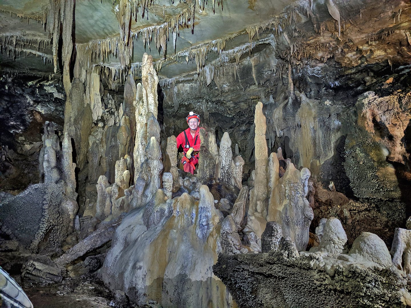 Albert & Ethel Ogden Nature Preserve - National Speleological Society