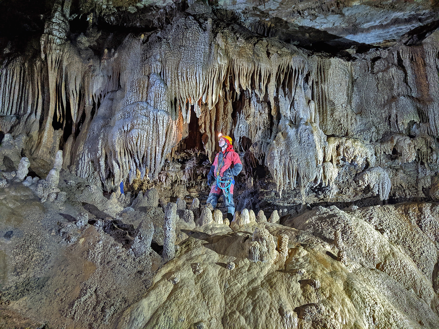 Albert & Ethel Ogden Nature Preserve - National Speleological Society