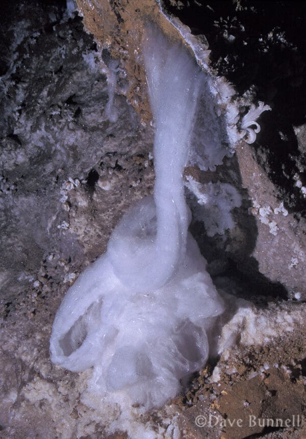 Fibrous Speleothems - National Speleological Society