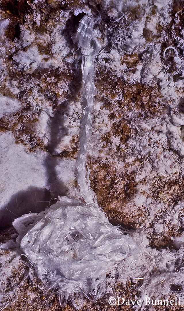 Fibrous Speleothems - National Speleological Society