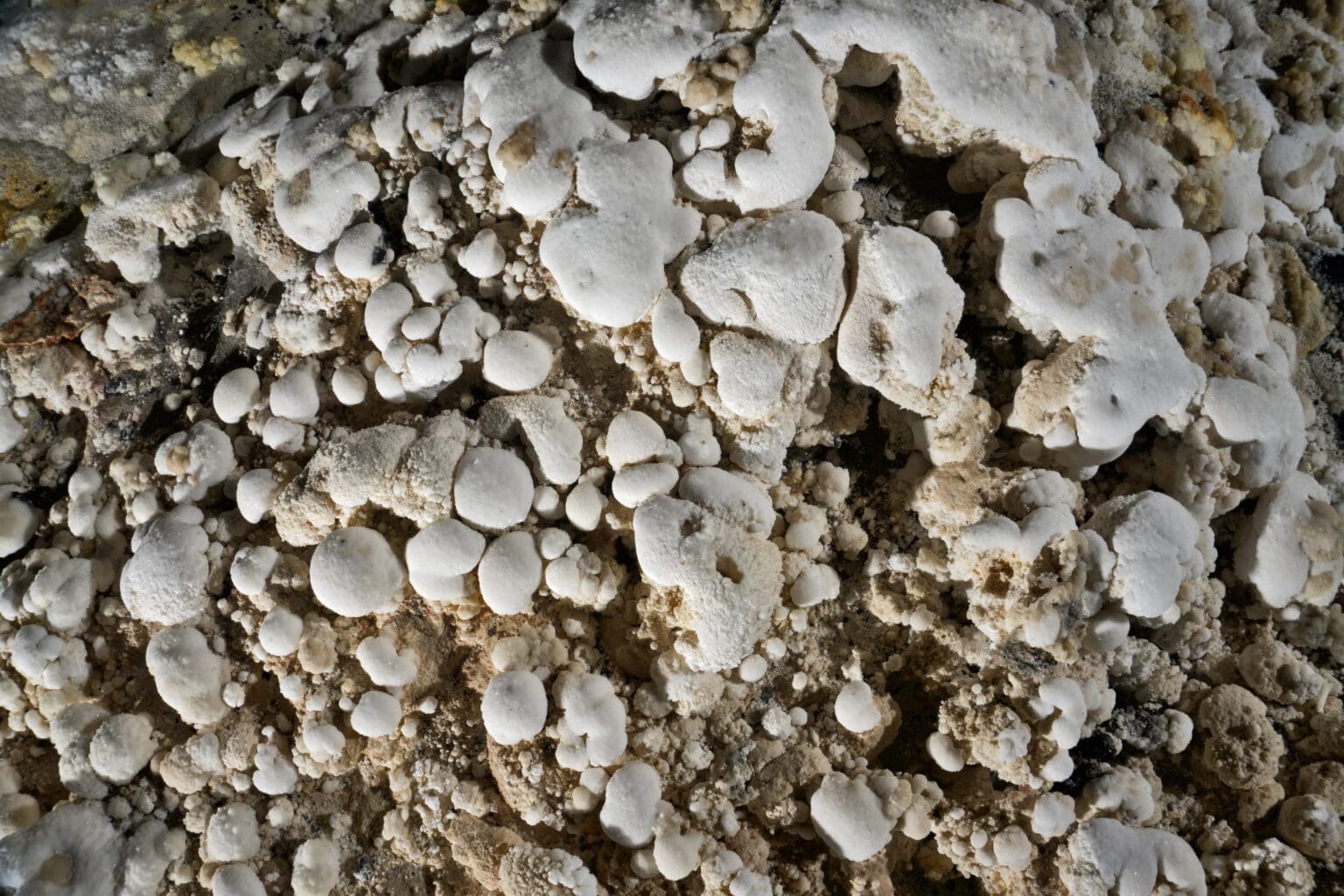 Mineral Deposits - National Speleological Society