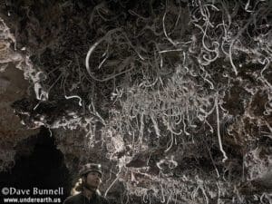 Gypsum Flowers - National Speleological Society