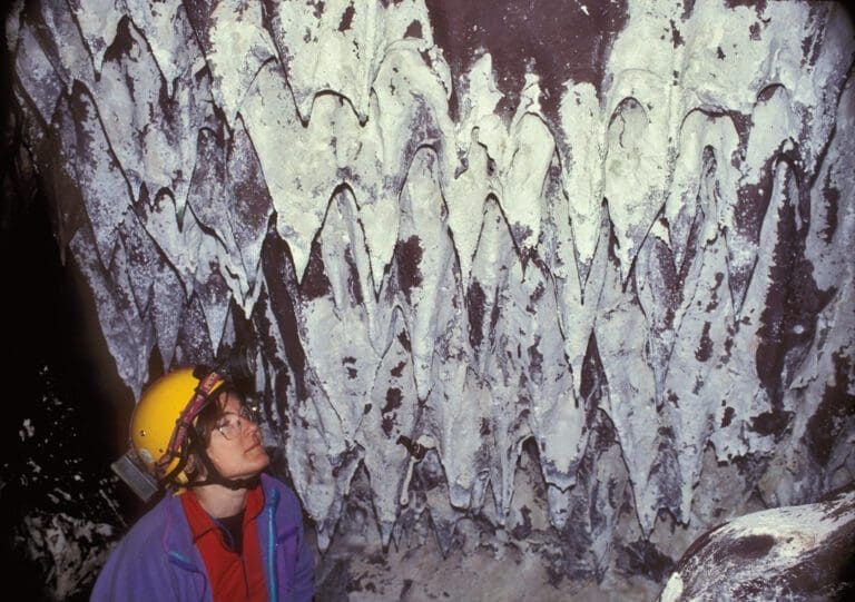Sharktooth Stalactites - National Speleological Society