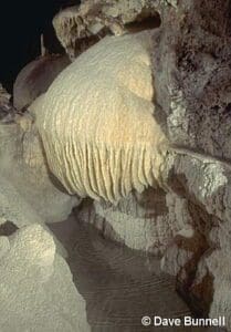 Helictites - National Speleological Society