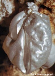 Gypsum Flowers - National Speleological Society