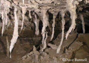 Deflected Stalactites - National Speleological Society