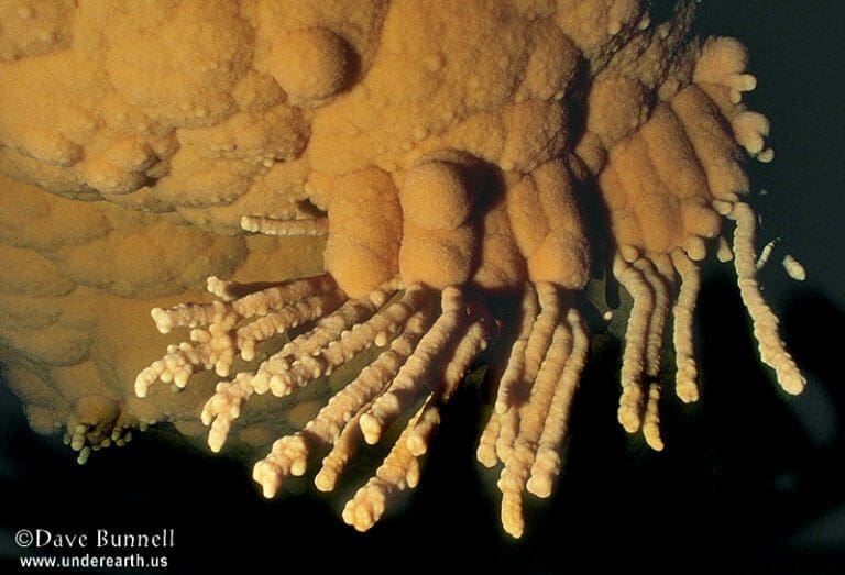 Entrances - National Speleological Society