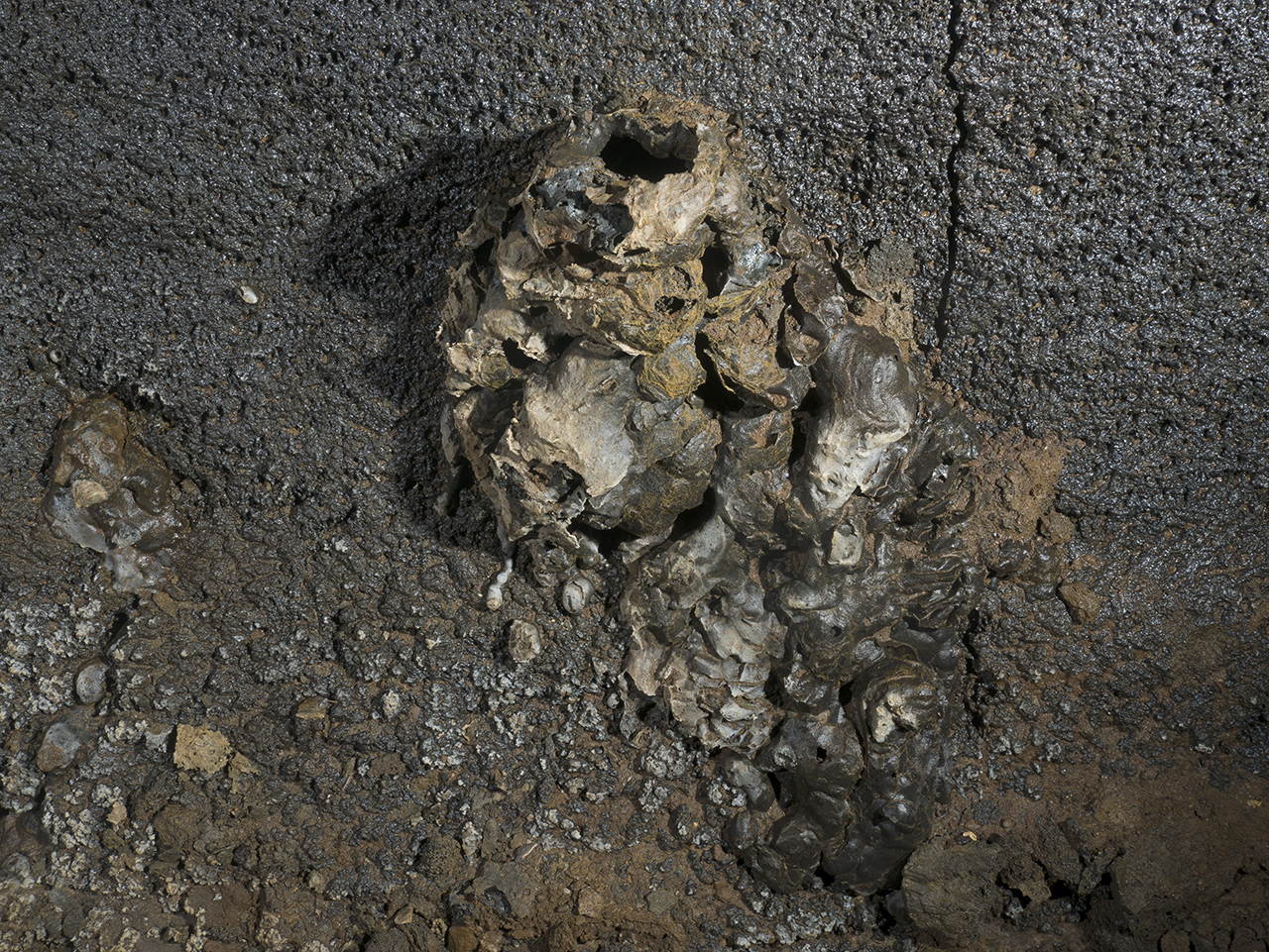 Lava Rose - National Speleological Society