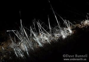 Gypsum Needles - National Speleological Society