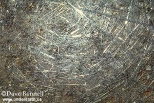 Gypsum Needles - National Speleological Society
