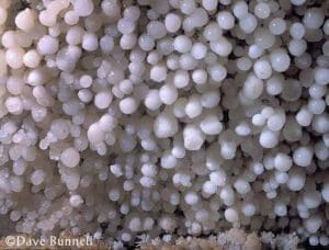 Coralloids - National Speleological Society