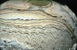 Stalagmites - National Speleological Society