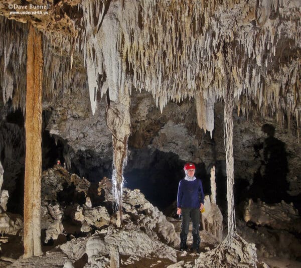 Stalactites - National Speleological Society