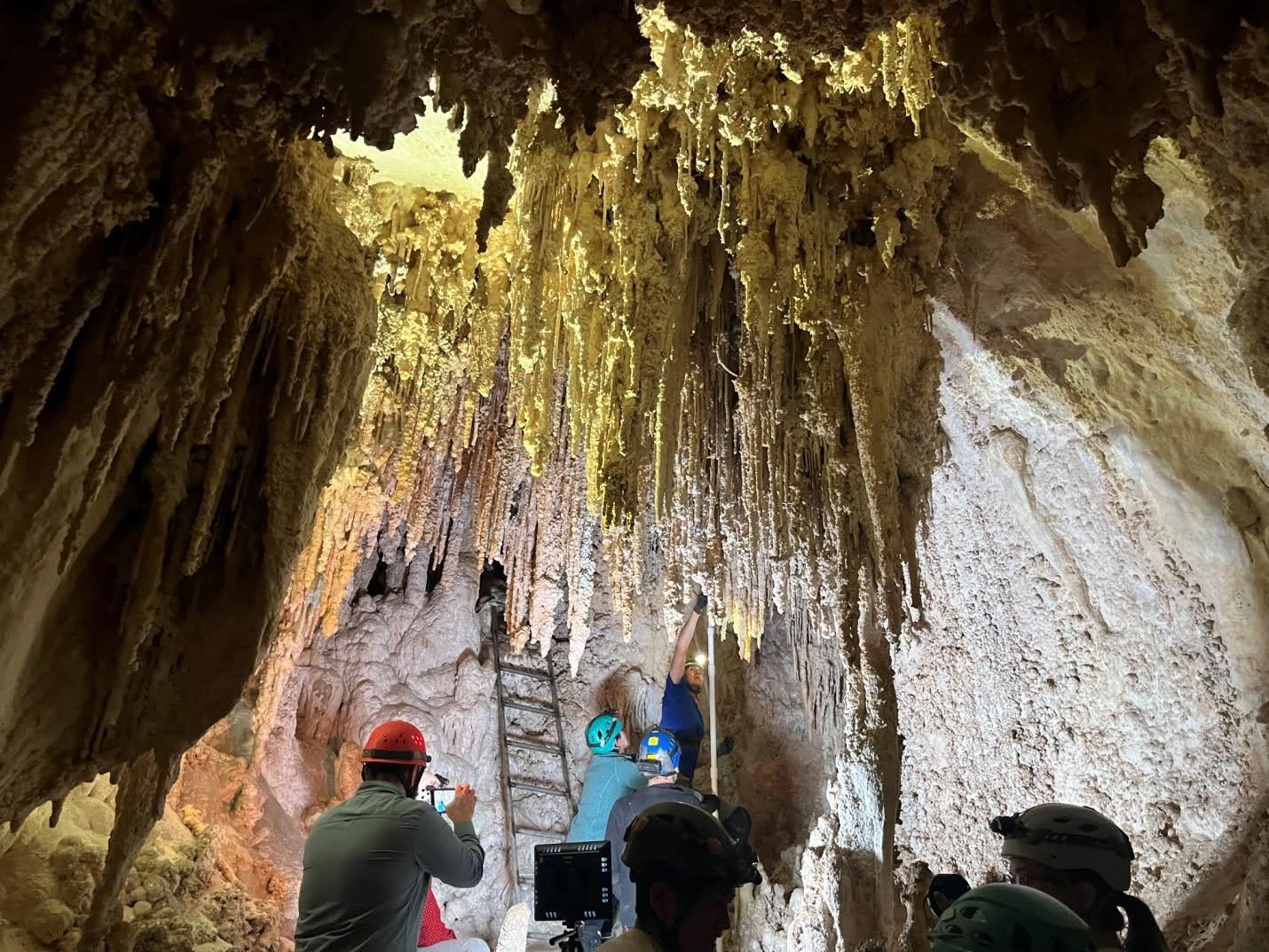 Tectonic Caves Elkins Park